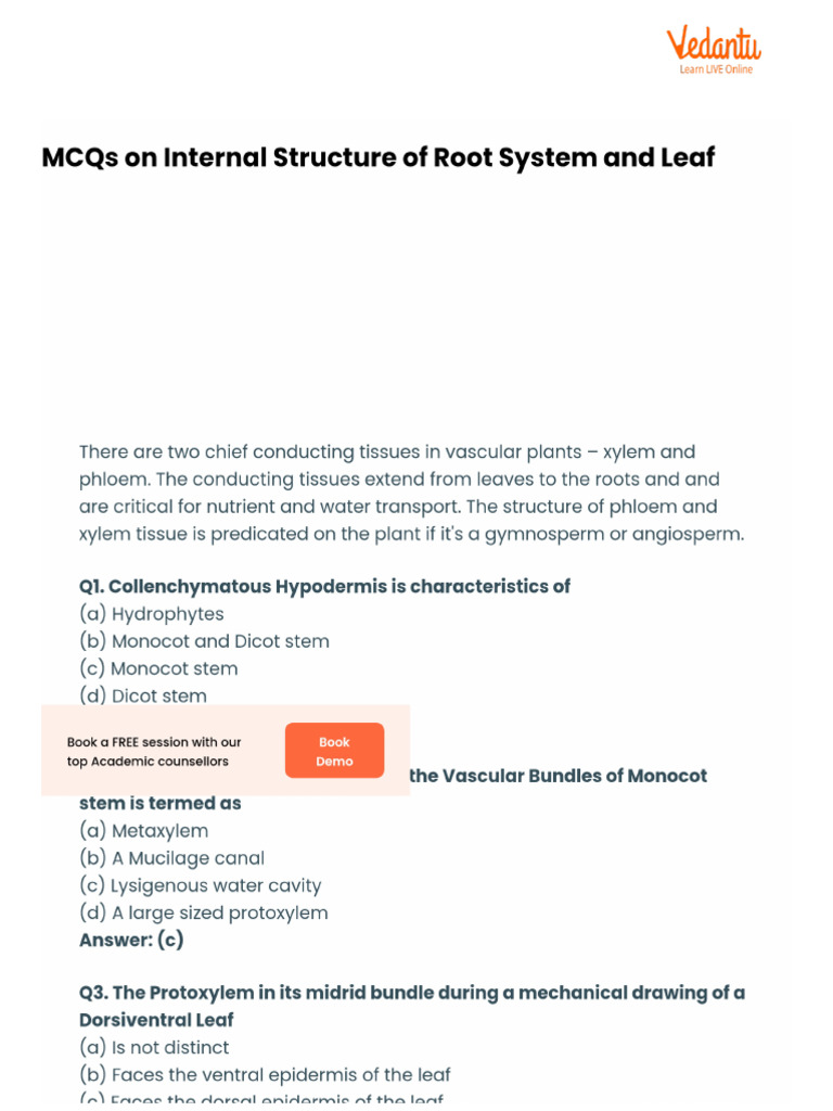 MCQs On Internal Structure of Root System and Leaf | PDF