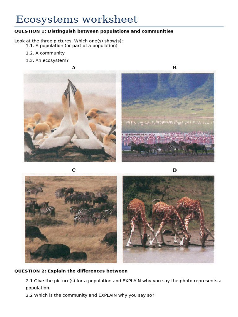 Ecosystems Worksheet | PDF
