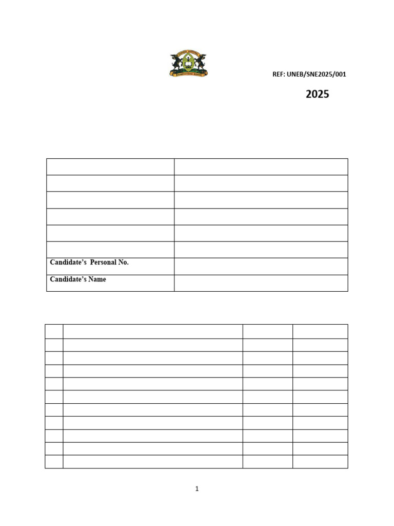 UNEB 2025 Special Needs Access Form | PDF