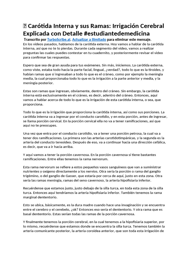 ? Carótida Interna y Sus Ramas - Irrigación Cerebral Explicada Con ...