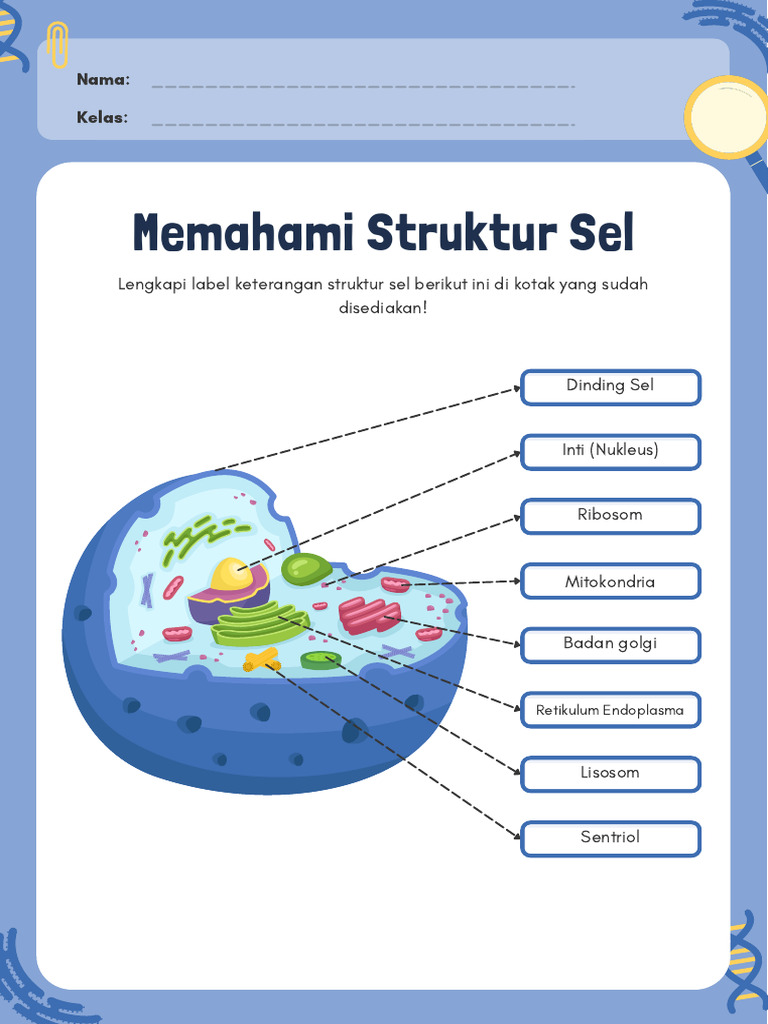 Memahami Struktur Sel: Nama: Kelas | PDF