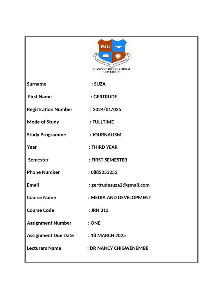 Media+and+Development+Assignment 1 | PDF | Educational Technology | Social Media