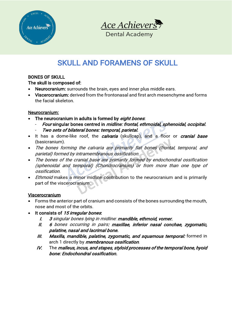 Skull Anatomy and Foramina Overview | PDF | Skull | Vertebra