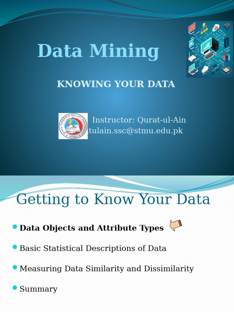 Understanding Data Objects and Attributes | PDF | Descriptive ...
