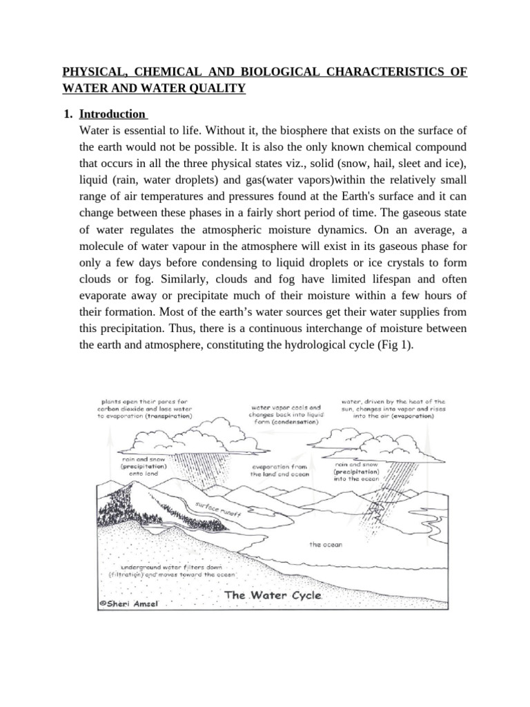 Water's Physical, Chemical, and Biological Traits | PDF | Water ...