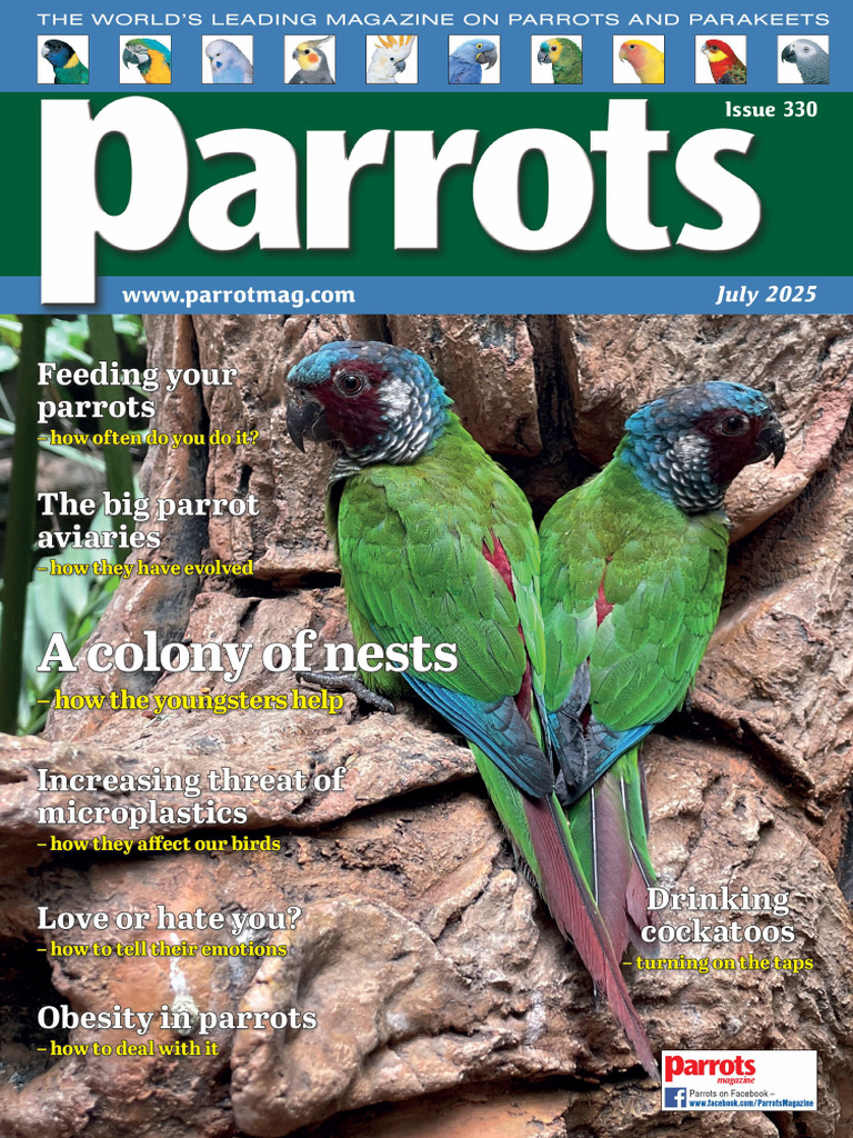 Parrots - July 2025 | PDF