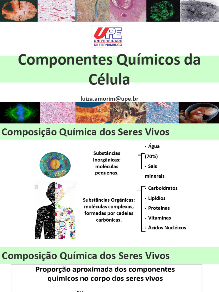 Componentes Químicos Da Célula | PDF | Cálcio | Carboidratos