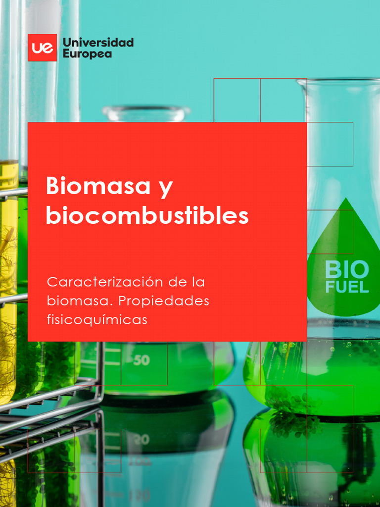 0DGK001103 Ua1 T02 | PDF | Biomasa | Biocombustible