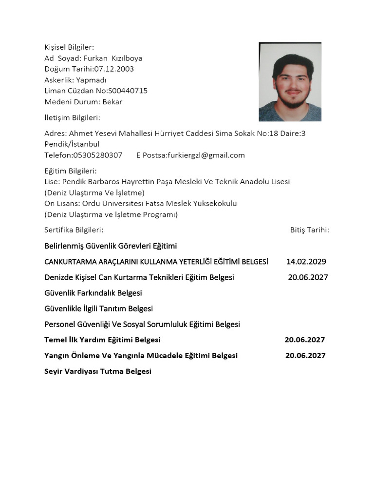 CV (2024) | PDF