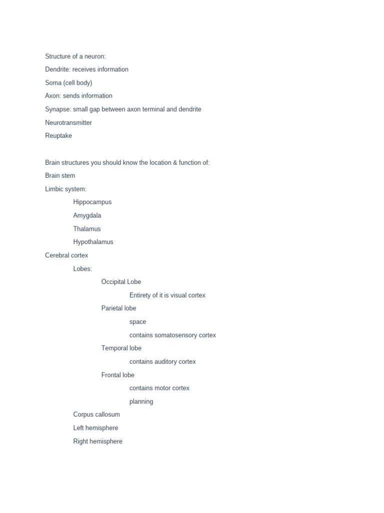 Brain Terms You Need To Know | PDF