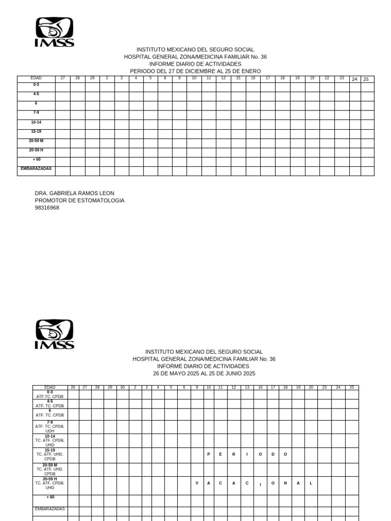 Informe Diario de Actividades Gaby | PDF