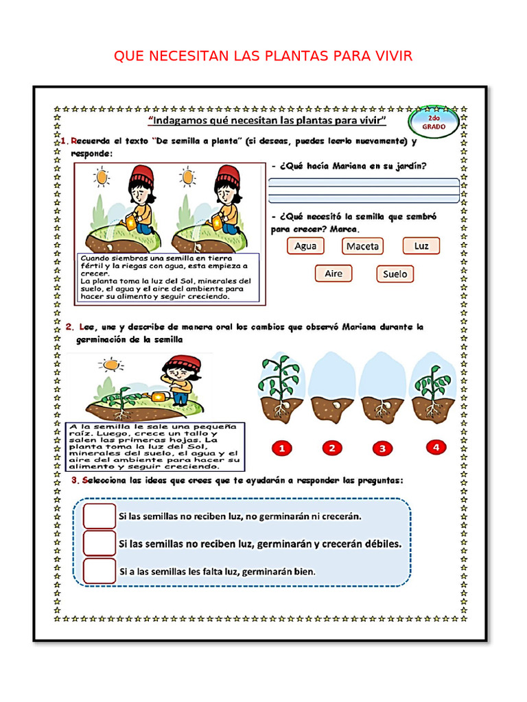 Que Necesitan Las Plantas para Vivir | PDF