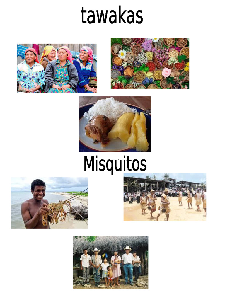 Vestimenta, Cultura, Tradicion de Tawakas Misquitos, Etnias de Honduras ...