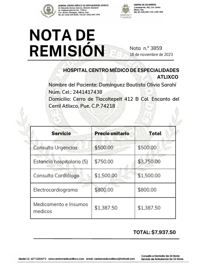 WS Morado Monocromo Moderno Factura - 20231128 - 115458 - 0000 | PDF