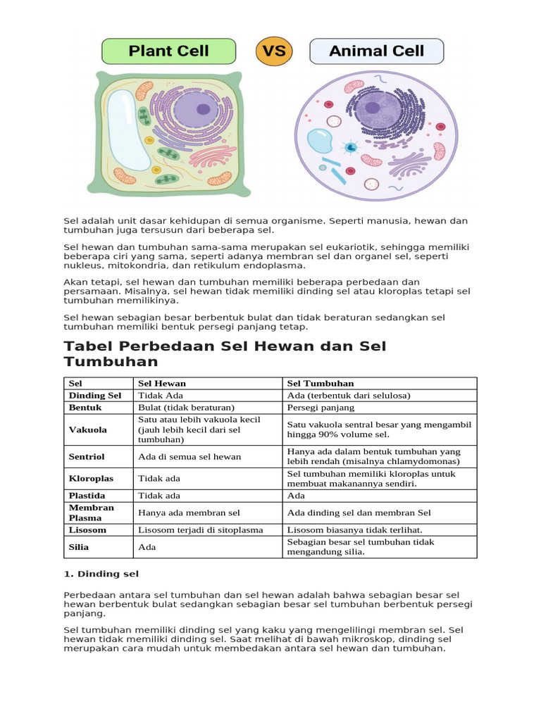 Perbedaan Sel Hewan dan Tumbuhan | PDF