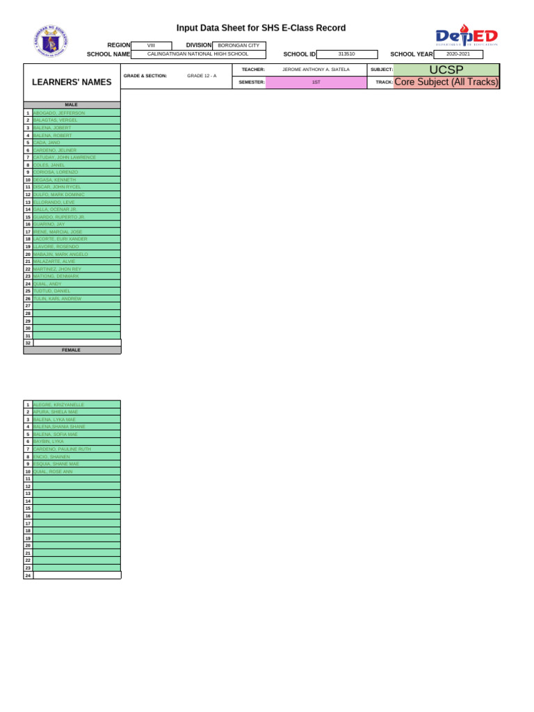 SHS E-Class Record Input Data Sheet | PDF