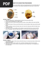 Cow Eye Dissection Lab Report | PDF | Eye | Human Eye