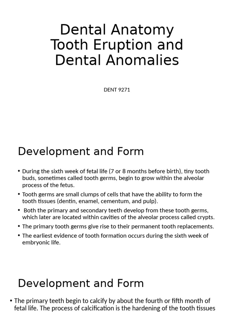 Dental Anatomy Development of Teeth and Tooth Eruption 2024 | PDF ...