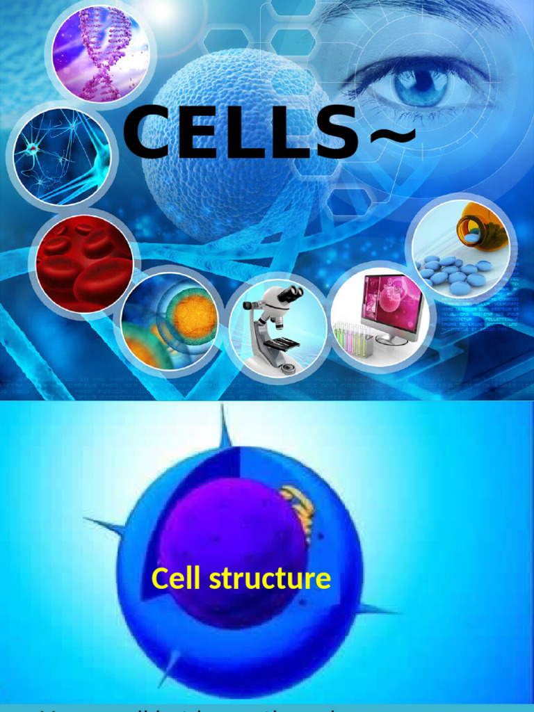 CHAPTER 2 CELLS Without Video | PDF | Cell (Biology) | Chloroplast