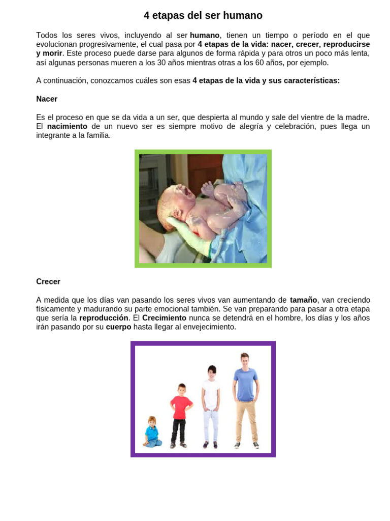 4 Etapas Del Ser Humano LICEO SANSARE | PDF | Humano | Belice