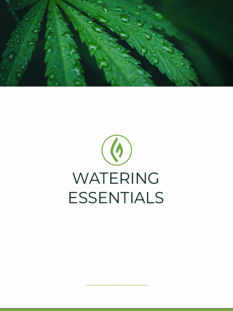 Watering Essentials for Plant Health | PDF | Soil | Water