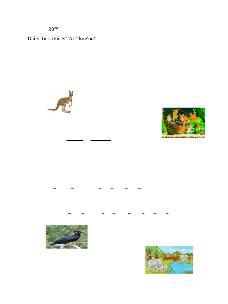 Daily Test Unit 8 at The Zoo Grade 2 | PDF