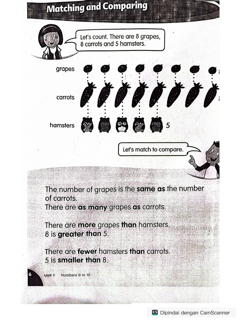 Math P1 Unit 1 | PDF