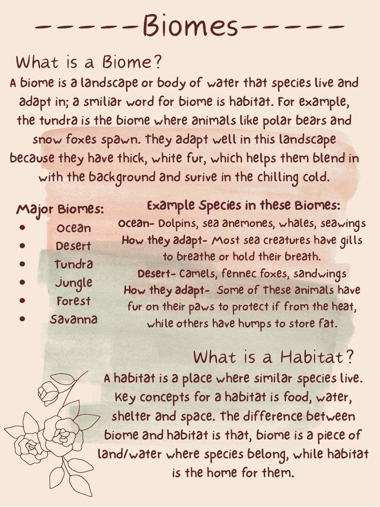 Biome Poster | PDF