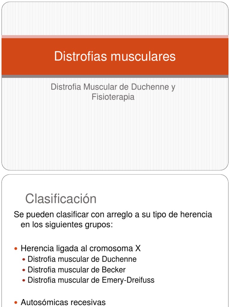 Distrofias Musculares 1 | PDF | Músculo | Sistema musculoesquelético