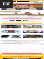 Nuggts Character Maker! Picrew - The Character Maker & Creator | PDF