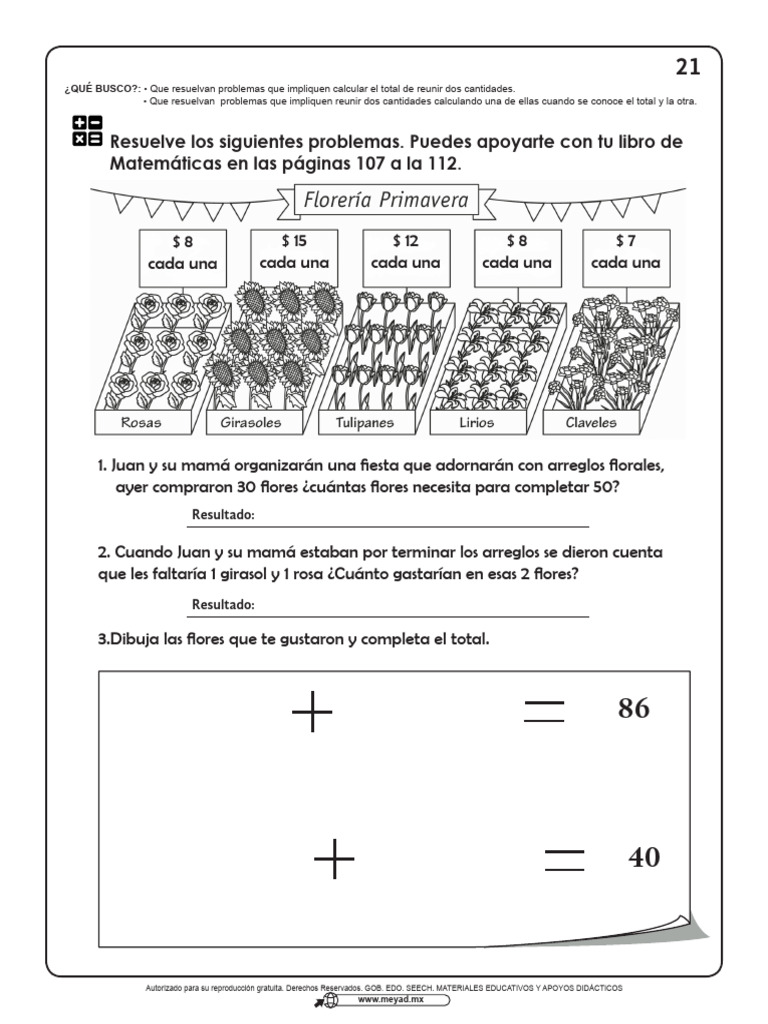 Material Didactico Resolver | PDF