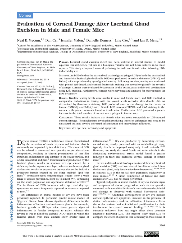 Evaluation of Corneal Damage After Lacrimal Gland Excision in Male and ...