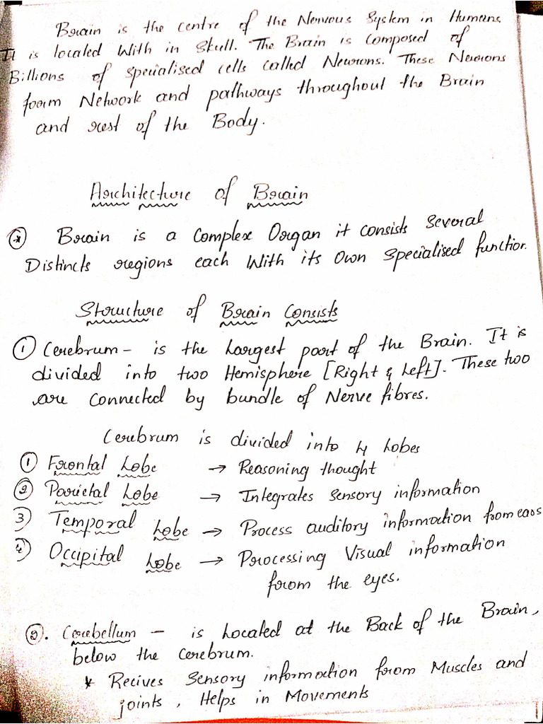 Module 3 Notes Bio | PDF