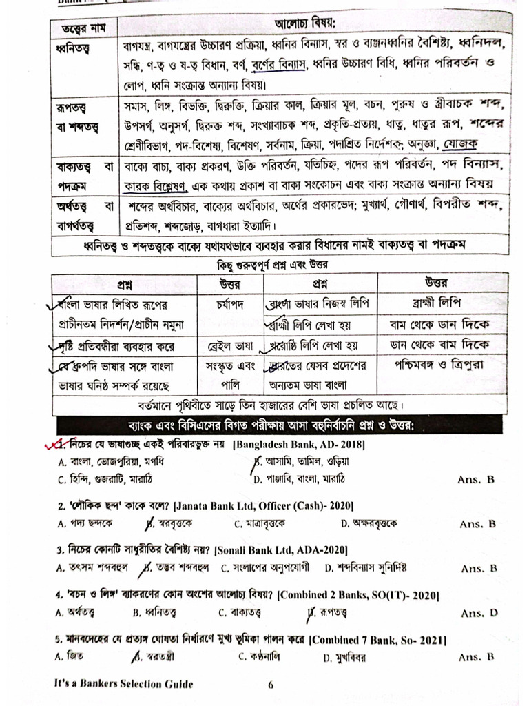 Bangla Grammar | PDF