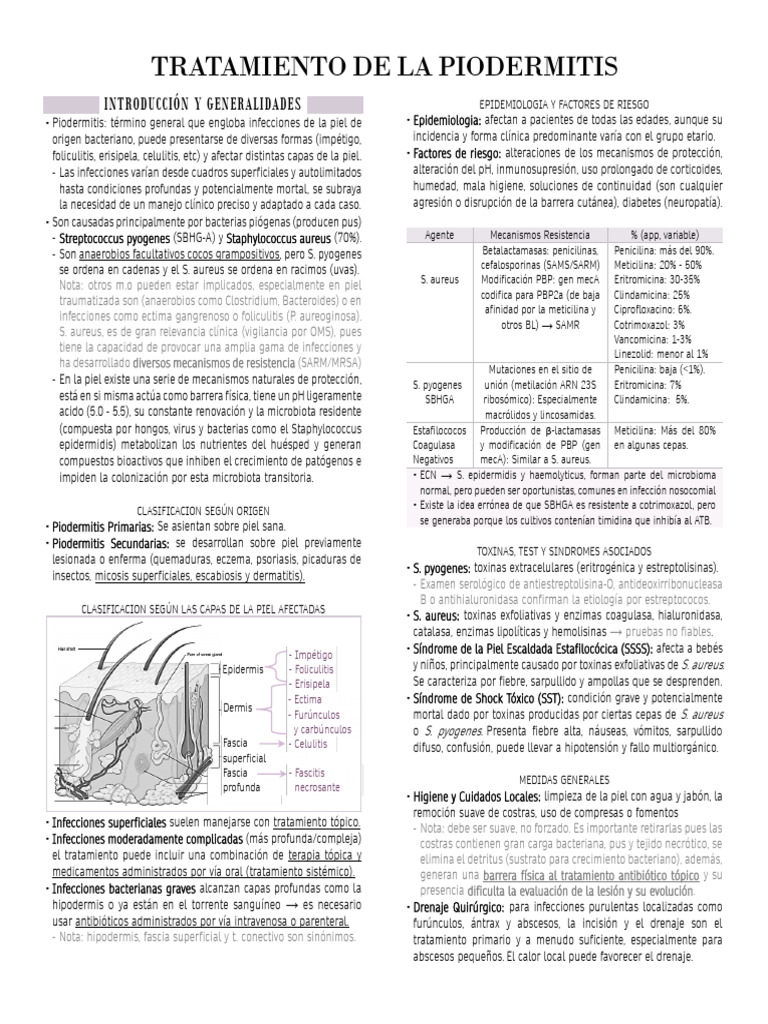 Piodermitis | PDF | Staphylococcus Aureus | Inmunología
