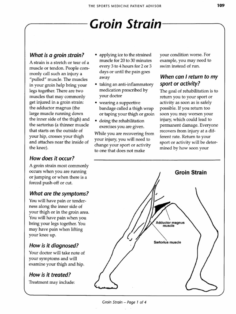 121 - Groin Strain | PDF