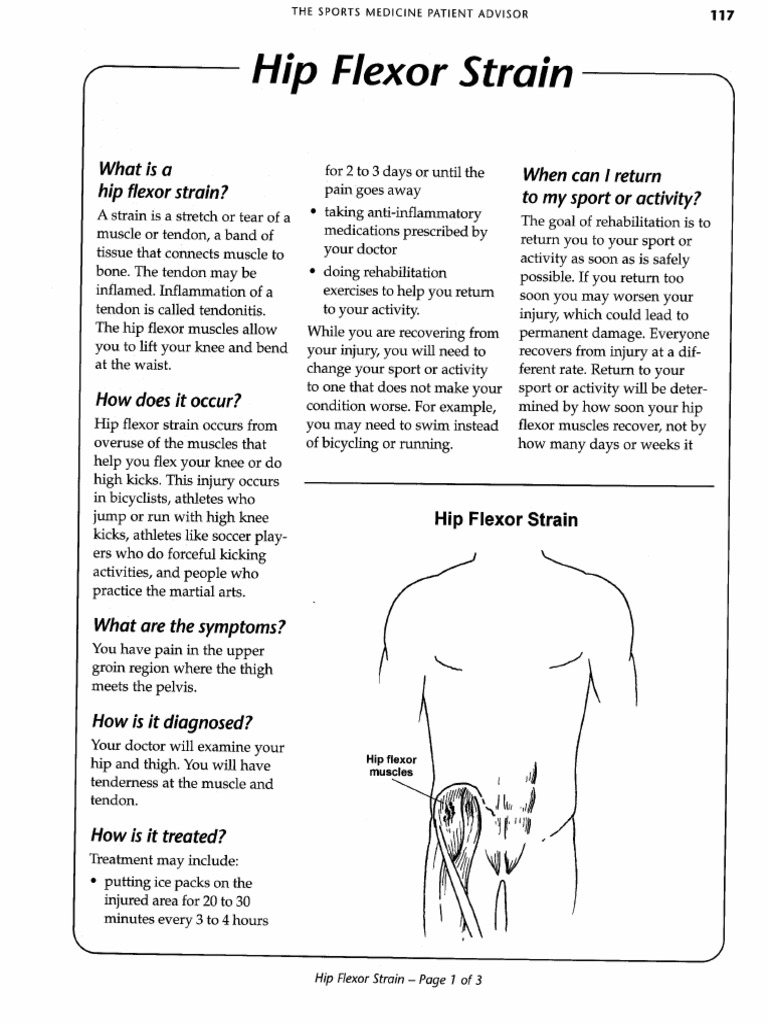 122 - Hip Flexor Strain | PDF