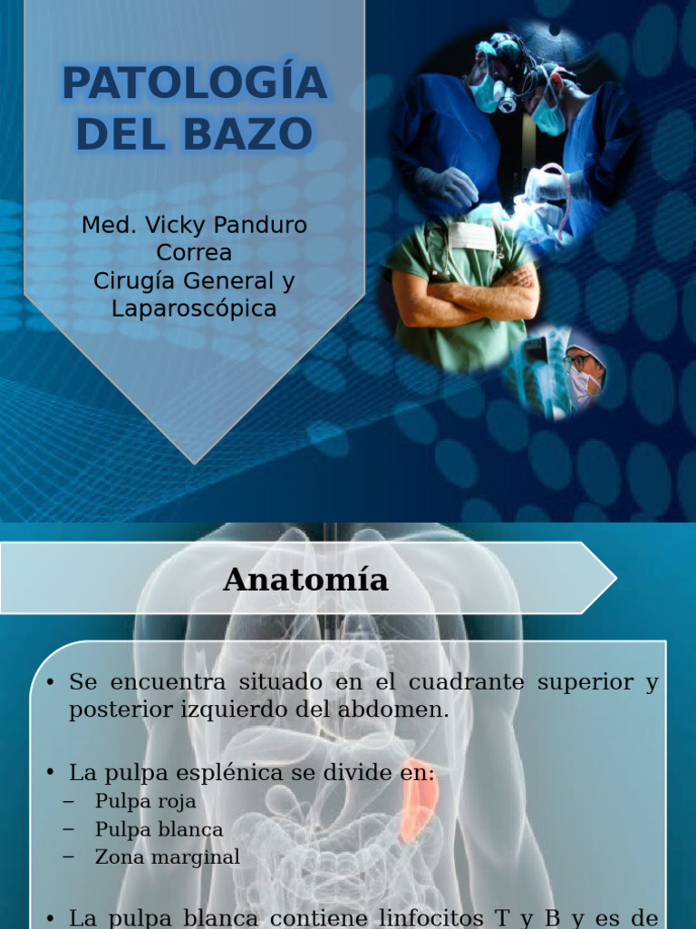 Patología y Tratamiento del Bazo | PDF | Bazo | Especialidades Medicas