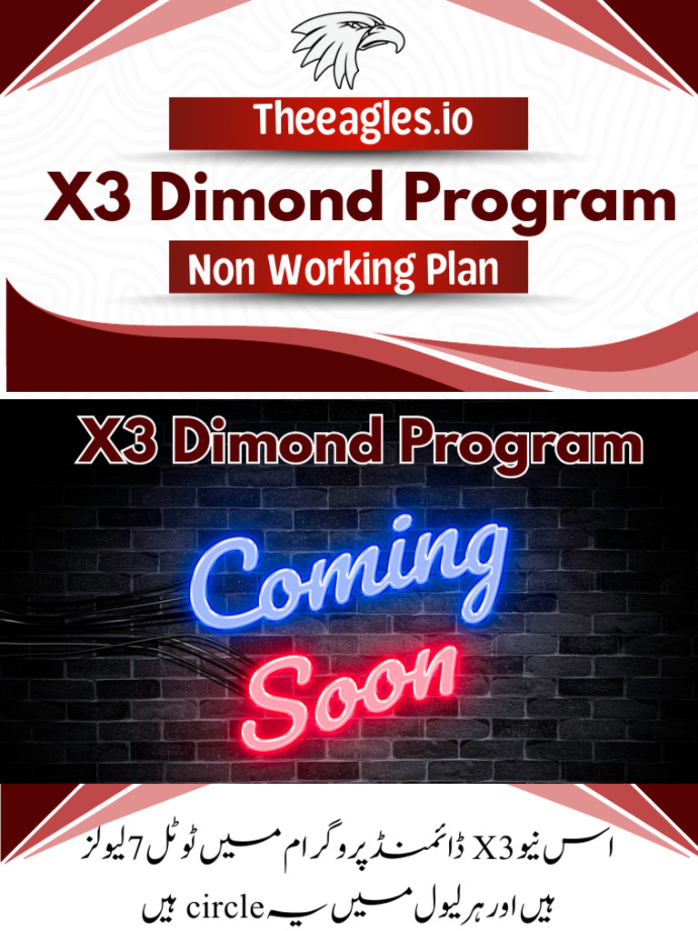 X3 Dimond Program - 20250602 - 165330 - 0000 | PDF