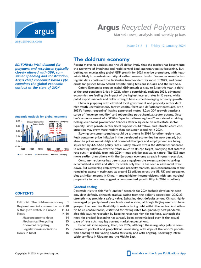 Argus Recycled Polymers | PDF | Gross Domestic Product | Economies