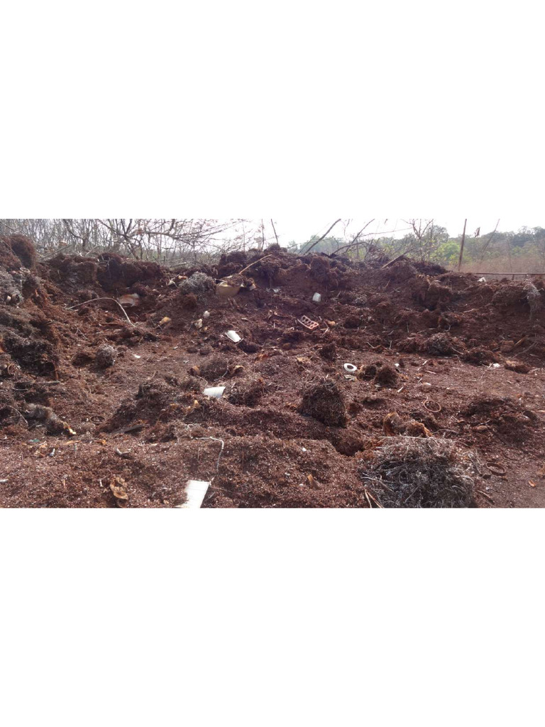 Mud Rusted MS Chips Scrap Photo | PDF