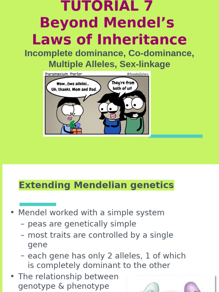 Tutorial 7a - Beyond Mendel - Inheritance 2 | PDF | Dominance (Genetics ...