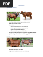 Indigenous Cattle - Buffalo - Breeds - Pak | PDF | Cattle | Livestock