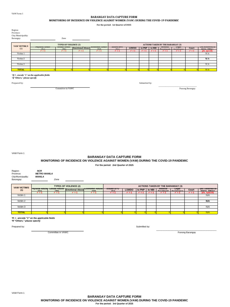 VAW Barangay Data Capture Form 2025 | PDF | Violence | Violence Against ...