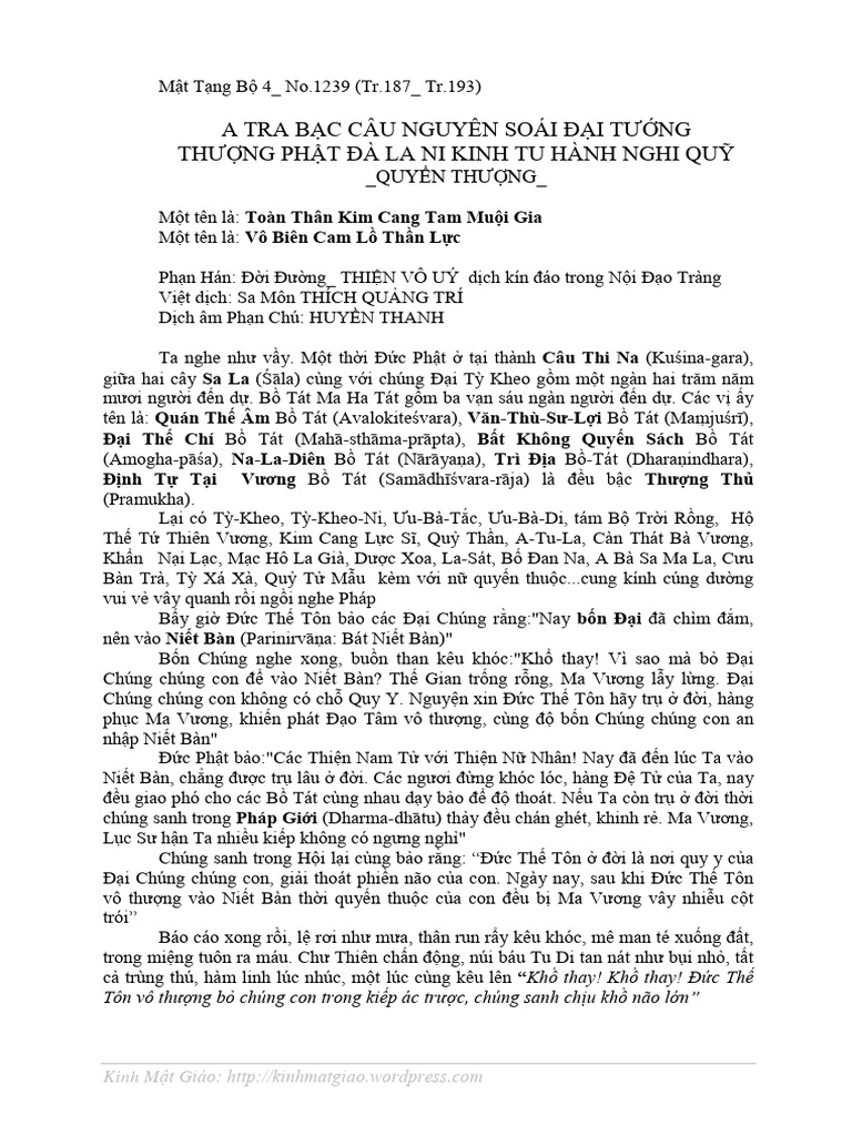 Nguyên Soái Đ I Tư NG | PDF