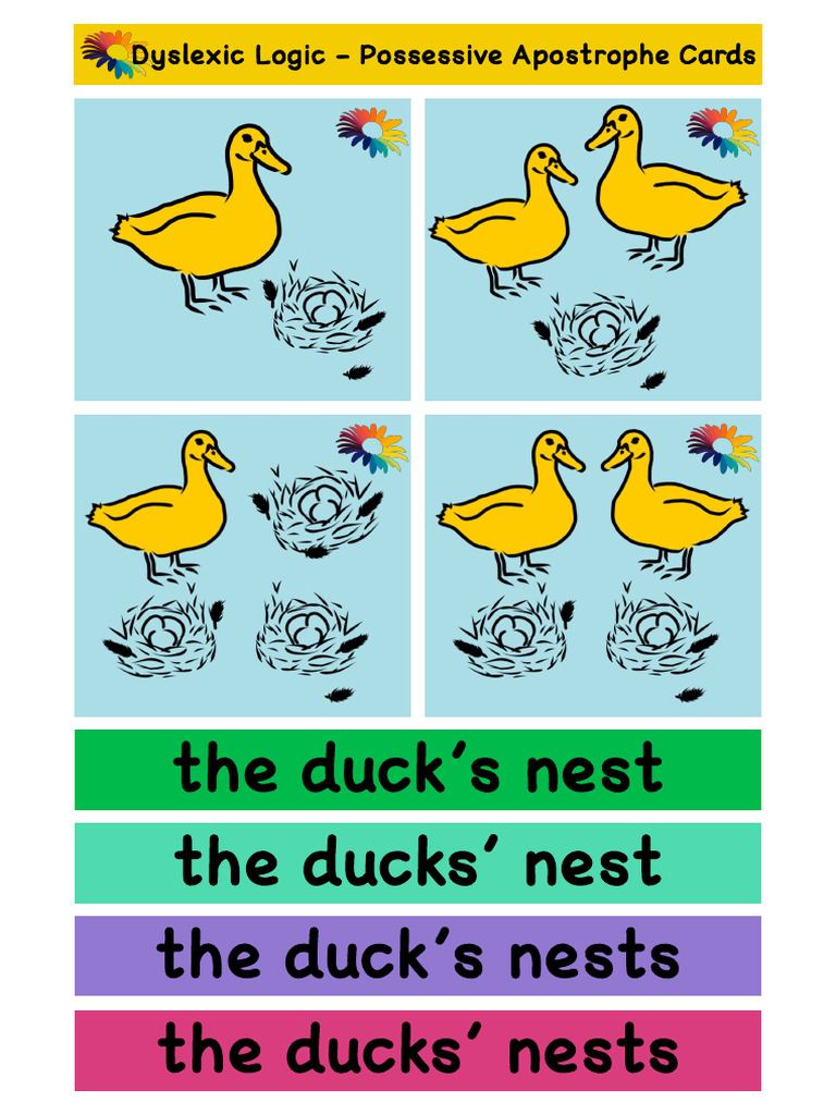 Possessive Apostrophe Practice Cards | PDF