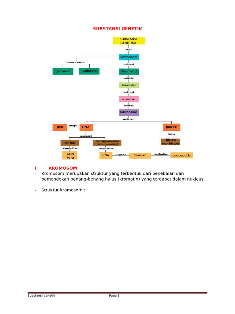 Substansi Genetik | PDF
