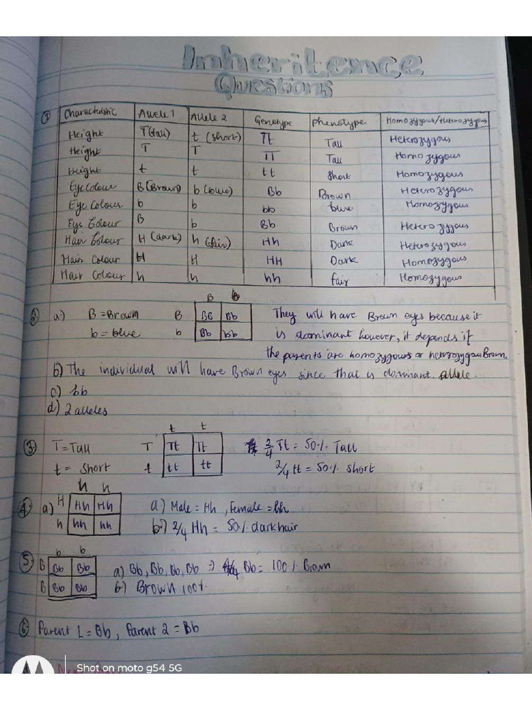 Science HW - Lesson 11 - Inheritance Worksheet | PDF