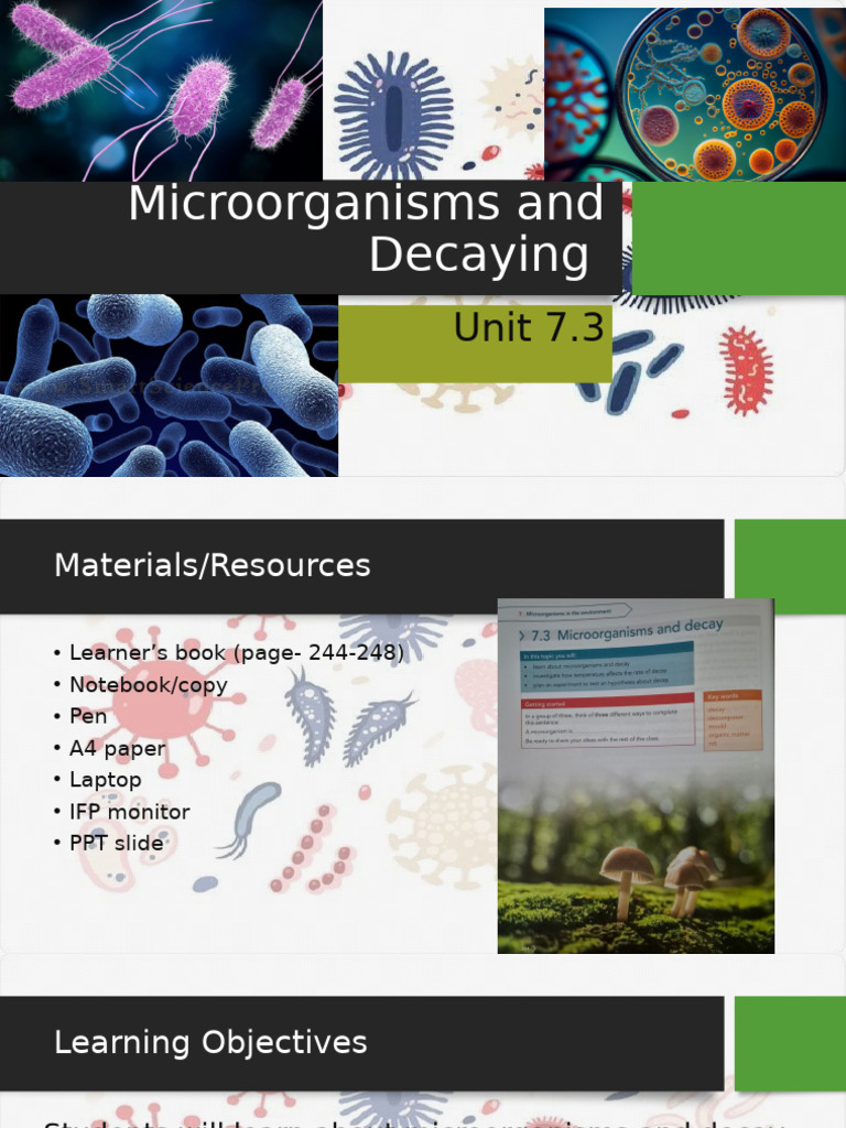 Microorganisms in Decay Processes | PDF | Decomposition | Foods