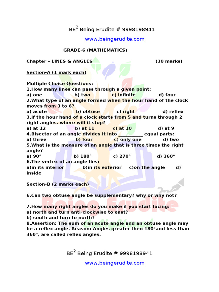 Lines and Angles - Test Paper | PDF | Angle | Euclid